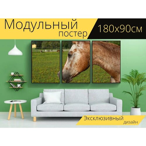 Модульный постер "Лошадь, голова, лошади" 180 x 90 см. для интерьера