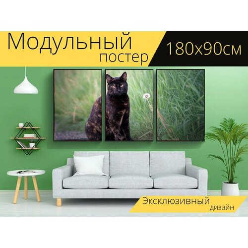 Модульный постер "Кот, одуванчик, сад" 180 x 90 см. для интерьера