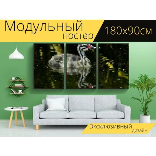 Модульный постер "Чомга телка, водоплавающая птица, животное" 180 x 90 см. для интерьера