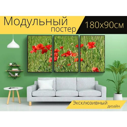 Модульный постер "Маки, полевые цветы, луг" 180 x 90 см. для интерьера