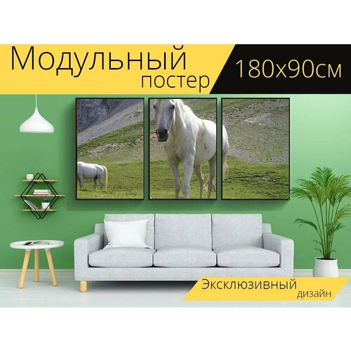 Модульный постер "Лошадь, кобыла, белый" 180 x 90 см. для интерьера