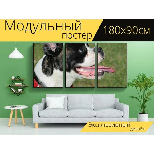 Модульный постер "Собака, боксер, чернобелый" 180 x 90 см. для интерьера