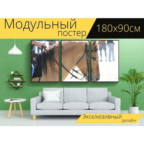 Модульный постер "Лошадь, лошадиная голова, болотный пони" 180 x 90 см. для интерьера