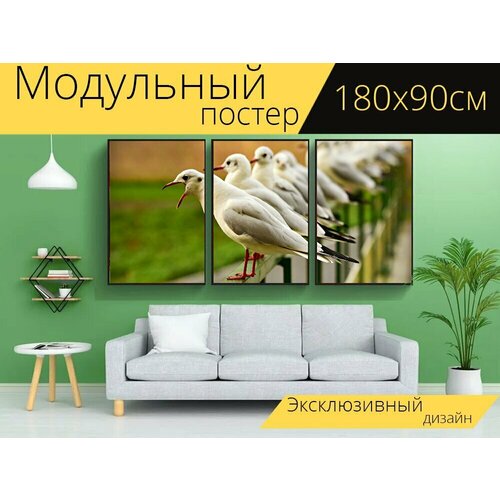 Модульный постер "Чайка, морских птиц, клюв" 180 x 90 см. для интерьера