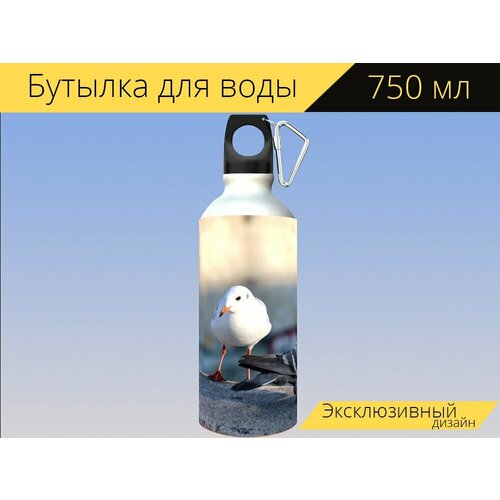 Бутылка фляга для воды "Чайка, голубь, конкретный" 750 мл. с карабином и принтом