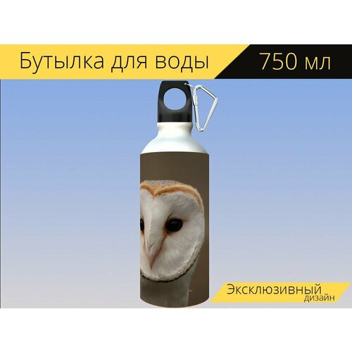 Бутылка фляга для воды "Сипуха, сова, глаза" 750 мл. с карабином и принтом