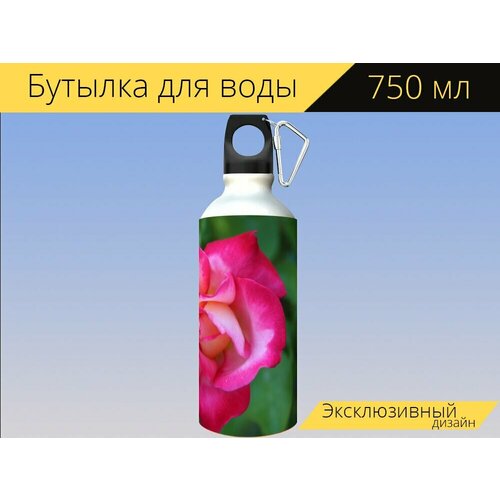 Бутылка фляга для воды "Rose, красный, природа" 750 мл. с карабином и принтом