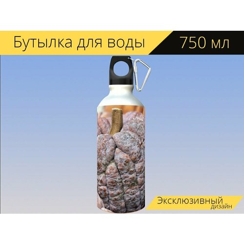 Бутылка фляга для воды "Тыква, падение, еда" 750 мл. с карабином и принтом