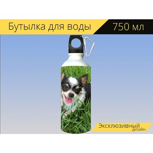 Бутылка фляга для воды "Собака, чихуахуа, небольшой" 750 мл. с карабином и принтом