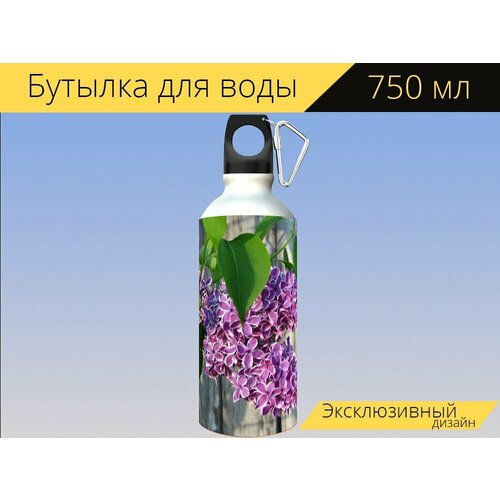 Бутылка фляга для воды "Сирень, цветы, листья" 750 мл. с карабином и принтом