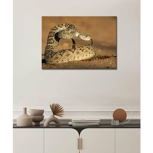 Картина - змея, техасский гремучник, ямкоголовая змея, ядовитая змея, большая змея, кожа змеи (15) 30х40