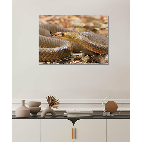 Картина - змея, сетчатая змея, коричневая змея, ядовитая змея, большая змея, кожа змеи (2) 50х70