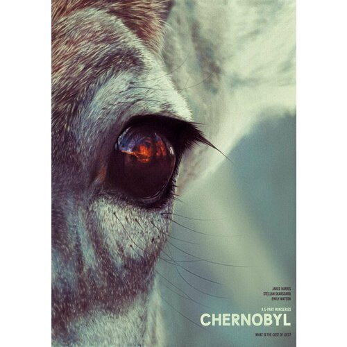 Плакат, постер на холсте Чернобль (Chernobyl, 2019). Размер 60 х 84 см