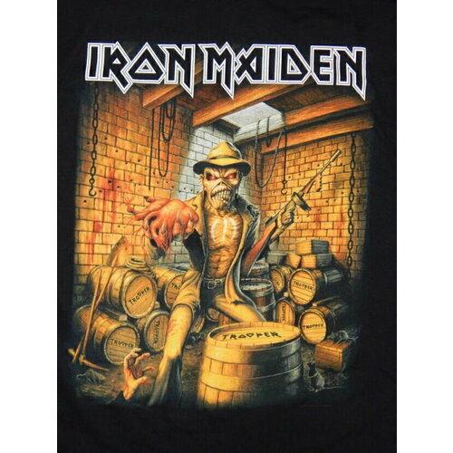 Плакат, постер на бумаге Iron Maiden/Железная дева/музыкальные/поп исполнитель/артист/поп-звезда/группа. Размер 21 х 30 см