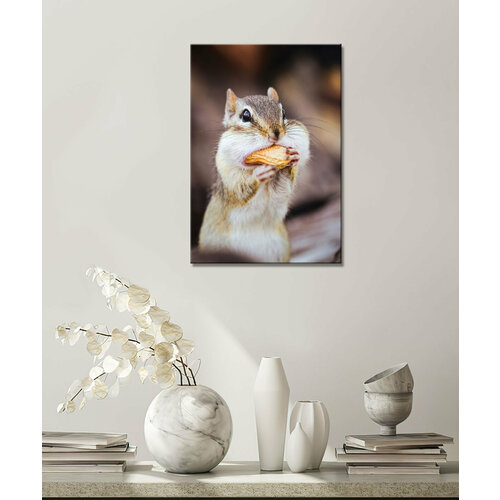 Картина - Бурундук, бурундучок, полосатый бурундук с орехом, забавный бурундук (45) 30х40
