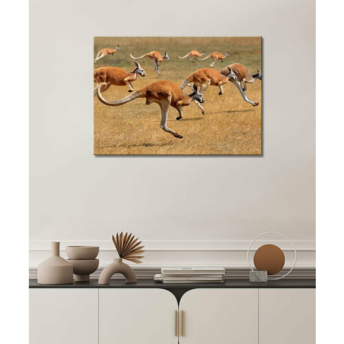 Картина - кенгуру, стая кенгуру, кенгуру в поле, рыжие кенгуру, кенгуру прыгают (15) 40х60
