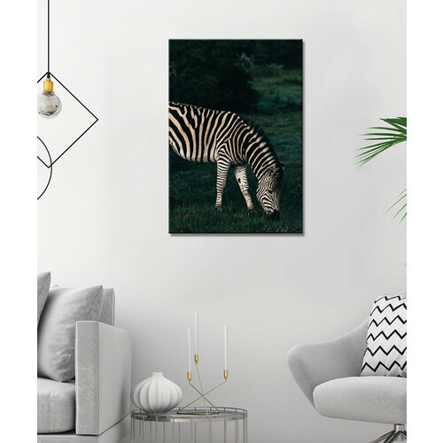 Картина - Зебра, полосатая зебра, красивая зебра (16) 30х40