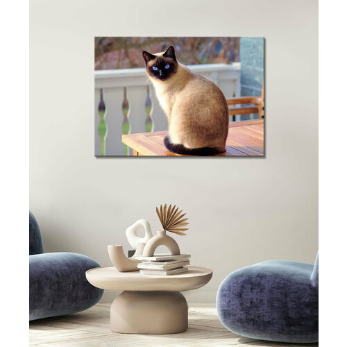 Картина - кошка, сиамская кошка, домашняя кошка, ласковая кошка, короткошерстная кошка, кот (87) 20х30