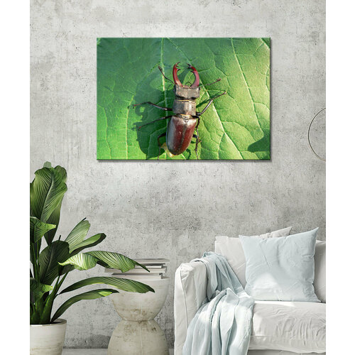 Картина - жук-олень, жук, жук с рогами, крупный жук, природа, макро (2) 40х60