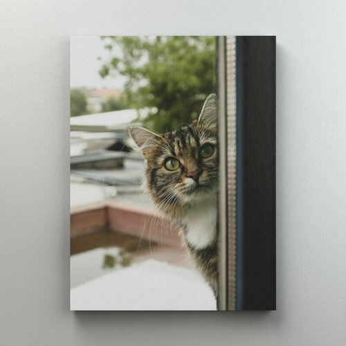 Интерьерная картина на холсте "Кот следит за окном" размер 30x40 см