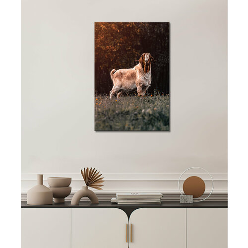 Картина - Коза, козел, коричневый козел, коричневая коза (7) 40х60
