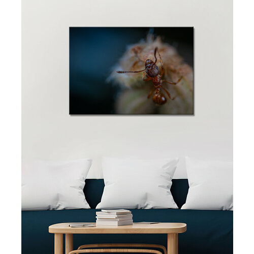 Картина - Муравей, муравей макро, муравей близко (11) 20х30