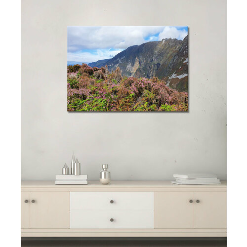 Картина/Картина на холсте для интерьера/Картина на стену/Картина для кухни/ -Ирландия природа (2) 50х70
