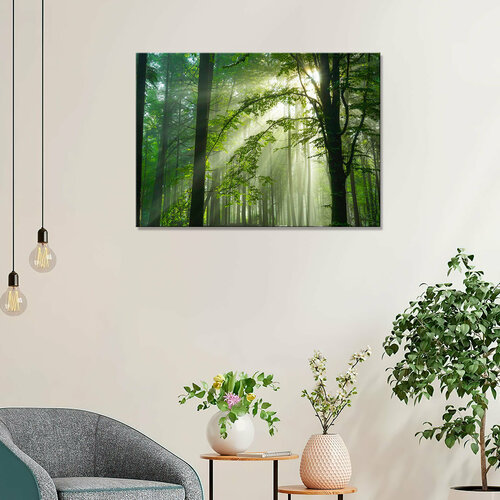 Интерьерная картина на холсте - лес в лучах солнца 50х70