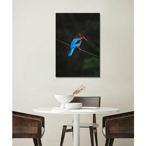 Картина -Зимородок, зимородок красноносый (1) 40х60