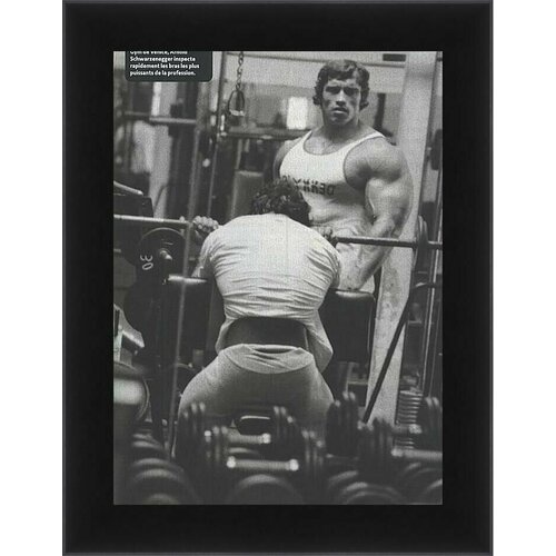 Плакат, постер на бумаге Арнольд Шварценеггер (Arnold Schwarzenegger). Размер 60 х 84 см