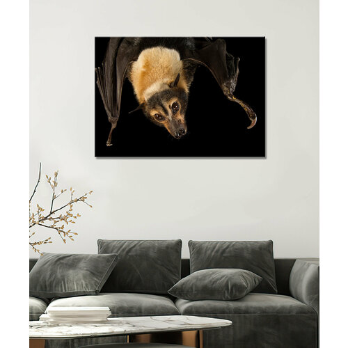 Картина -Крылан, летучая лиса, летучая лисица, крылан висит (3) 60х80