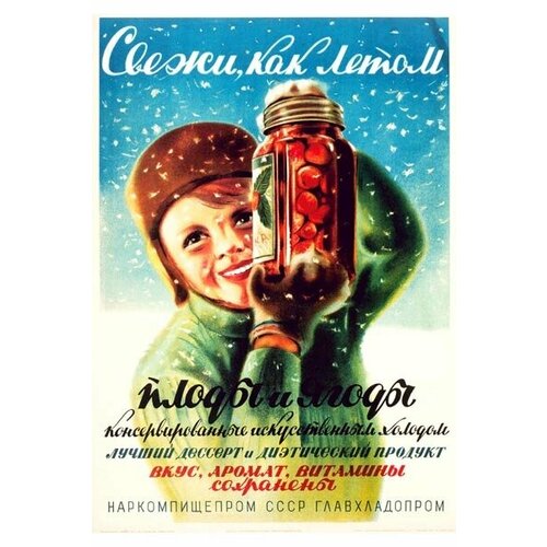 Плакат, постер на бумаге СССР/ Свежи и вкусны, как летом плоды и ягоды. Размер 21 х 30 см