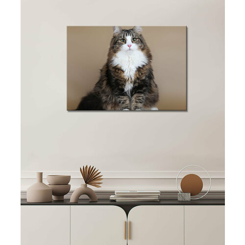 Картина - кошка, сибирская кошка, домашняя кошка, ласковая кошка, полудлинношёрстная кошка, кот (107) 30х40
