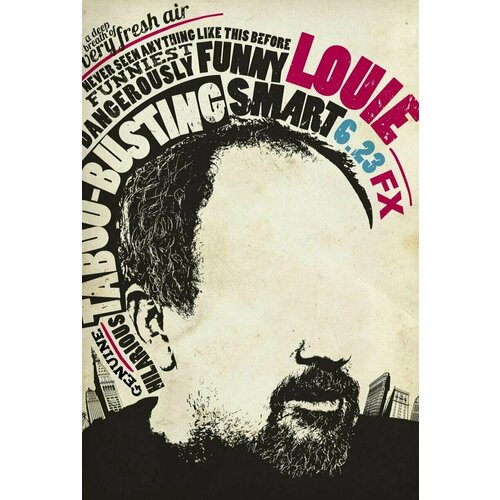 Плакат, постер на холсте Луи (Louie, 2010-2015г). Размер 30 х 42 см