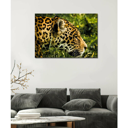 Картина/Ягур/Ягуар в джунглях/Ягуар на дереве/Черный ягуар/ - Ягуар (30) 20х30