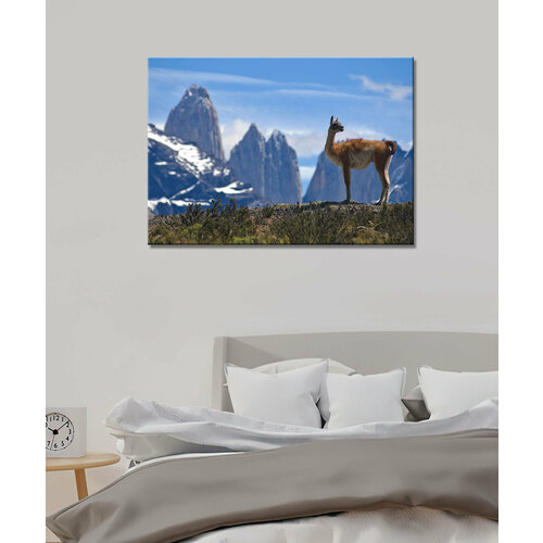 Картина/Картина на холсте для интерьера/Картина на стену/Картина для кухни/ - Аргентина природа Патагония 9 40х60