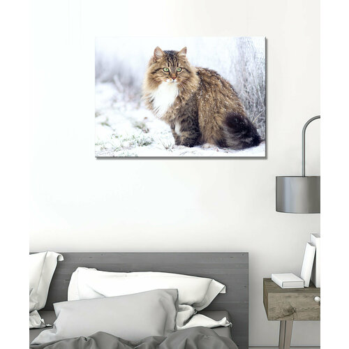 Картина - кошка, сибирская кошка, домашняя кошка, ласковая кошка, полудлинношёрстная кошка, кот (110) 50х70