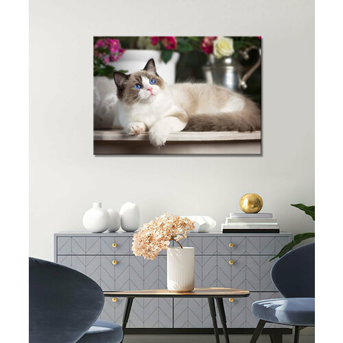 Картина - кошка, рэгдолл, домашняя кошка, ласковая кошка, кот (253) 20х30