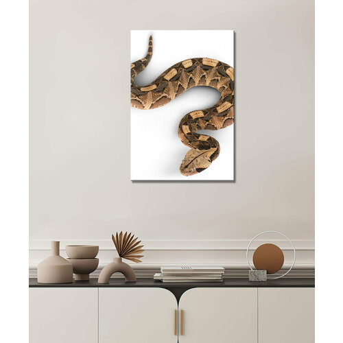Картина - змея, габонская гадюка, ядовитая змея, большая змея, кожа змеи (10) 30х40