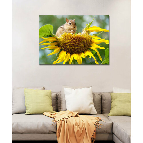 Картина - Бурундук, бурундучок, полосатый бурундук с подсолнухом, милый бурундук (31) 50х70