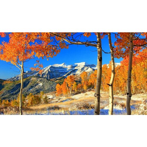 Картина на холсте 60x110 Альянс Лес "Осень листья желтые снег" на подрамнике / интерьер/ декор