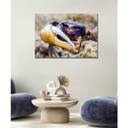 Картина - Краб, крабы, крабик, морской краб, красивый краб, большой краб, фиолетовый краб (7) 60х80