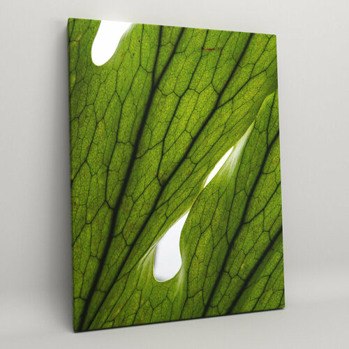 Картина на холсте (интерьерный постер) "Текстура листьев", с деревянным подрамником, размер 30x40 см