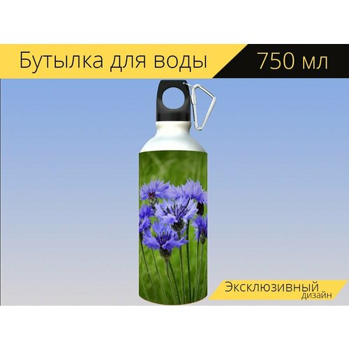 Бутылка фляга для воды "Васильки, весна, луг" 750 мл. с карабином и принтом