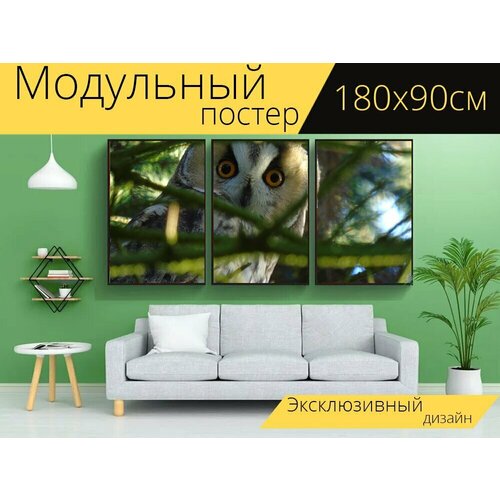 Модульный постер "Сова, ушастая сова, лес" 180 x 90 см. для интерьера