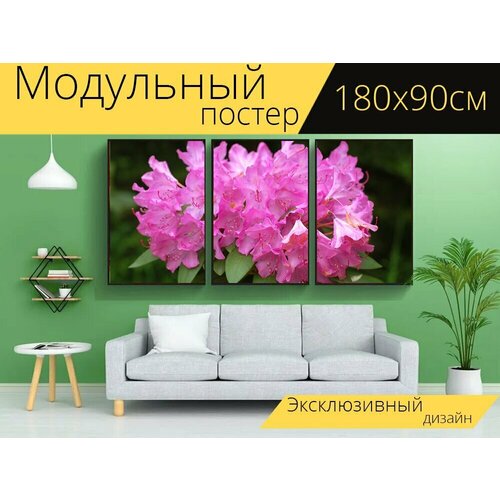 Модульный постер "Цветок, рододендрон, розовый" 180 x 90 см. для интерьера