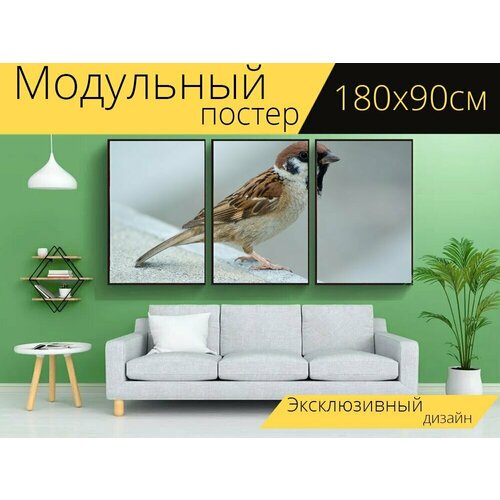 Модульный постер "Дерево воробей, воробей, птица" 180 x 90 см. для интерьера
