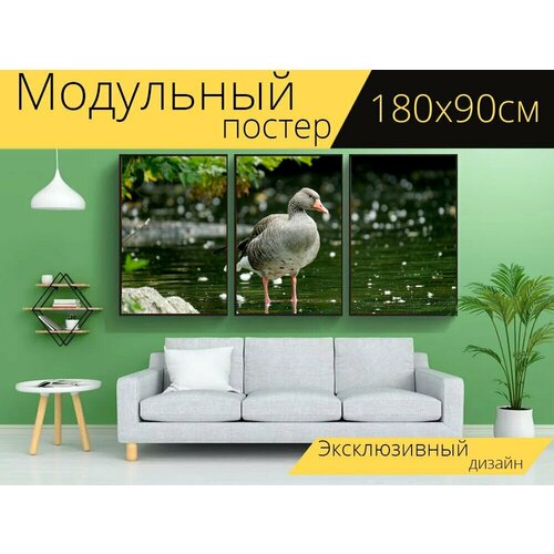 Модульный постер "Гусь, серый гусь, озеро" 180 x 90 см. для интерьера