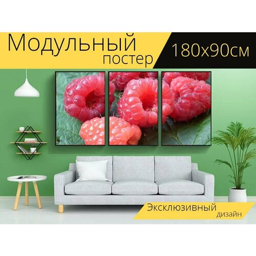 Модульный постер "Ягоды, малина, фрукты" 180 x 90 см. для интерьера