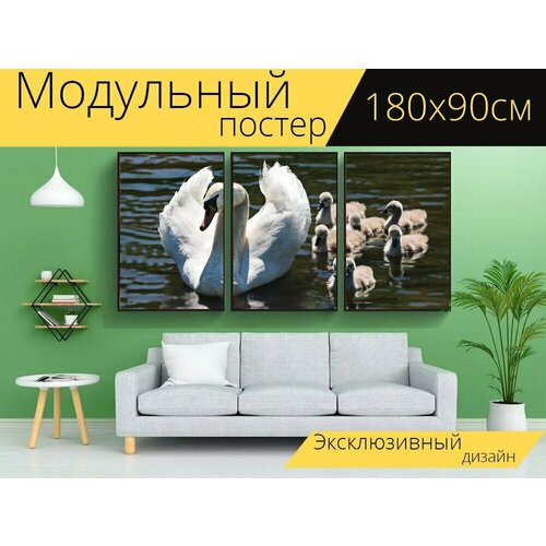Модульный постер "Лебедь, сигнетс, семья" 180 x 90 см. для интерьера